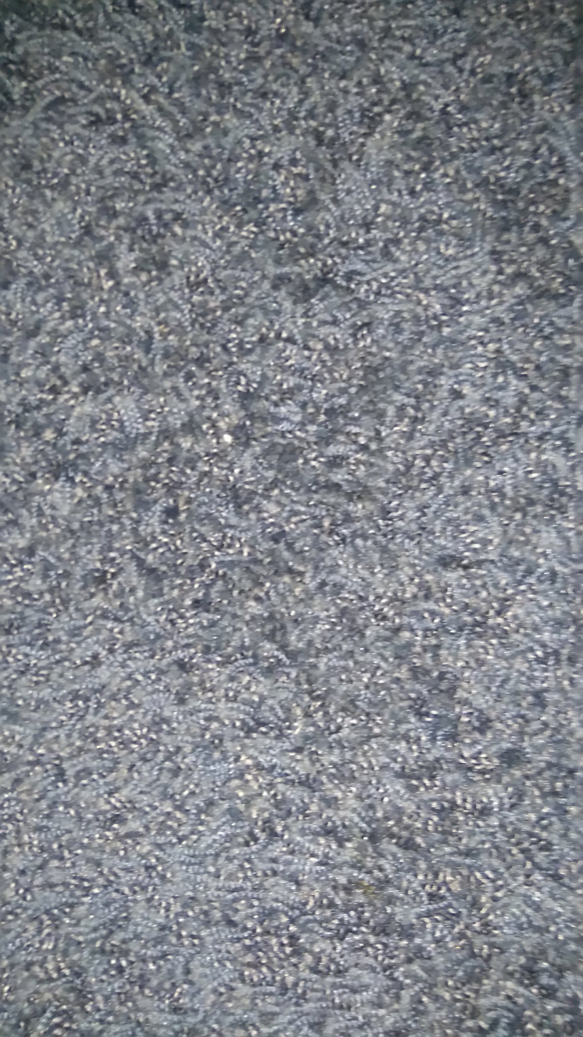 Temper floor pics - post them shits up! | GBAtemp.net - The Independent ...