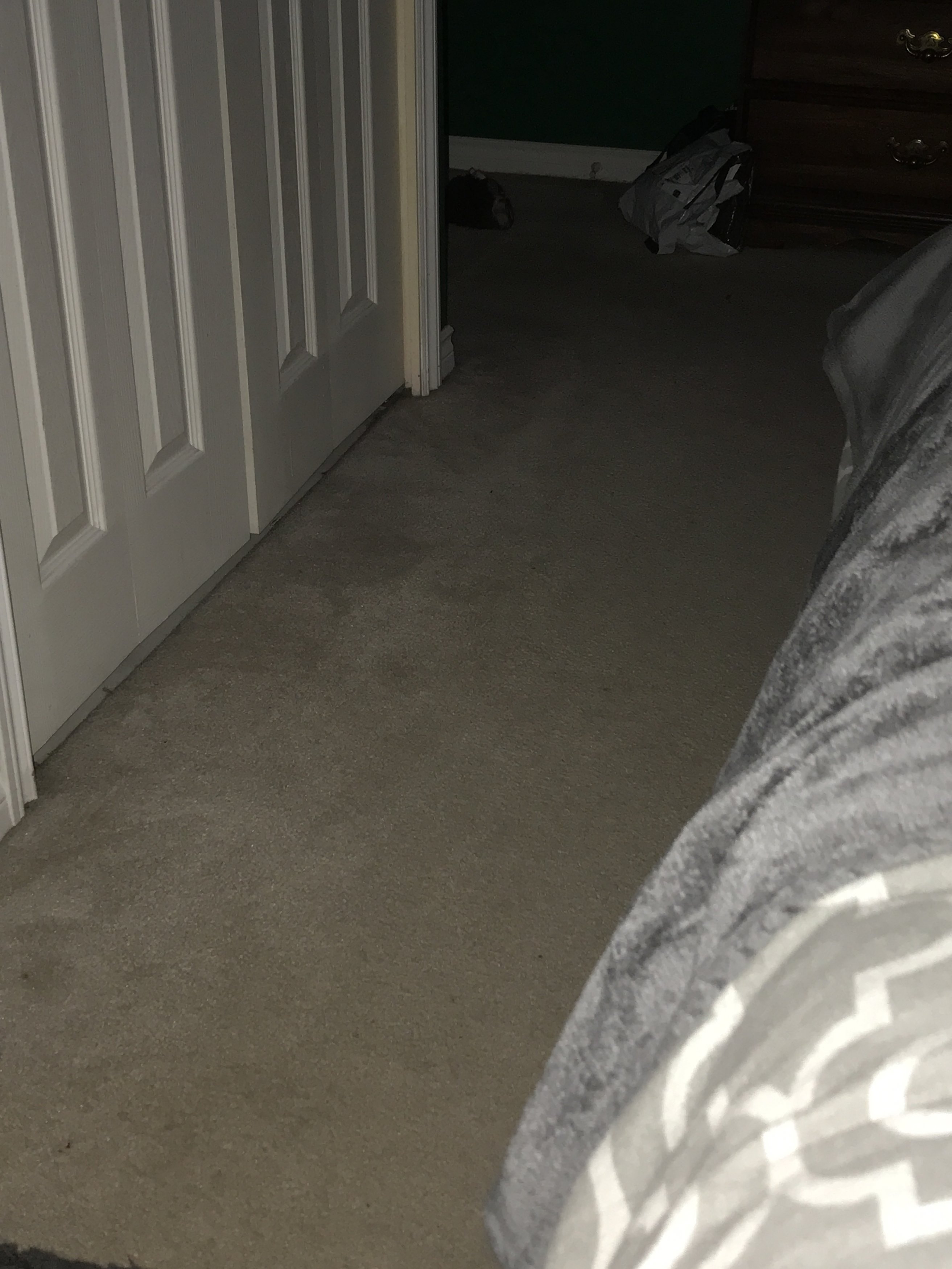 Temper floor pics - post them shits up! | GBAtemp.net - The Independent ...